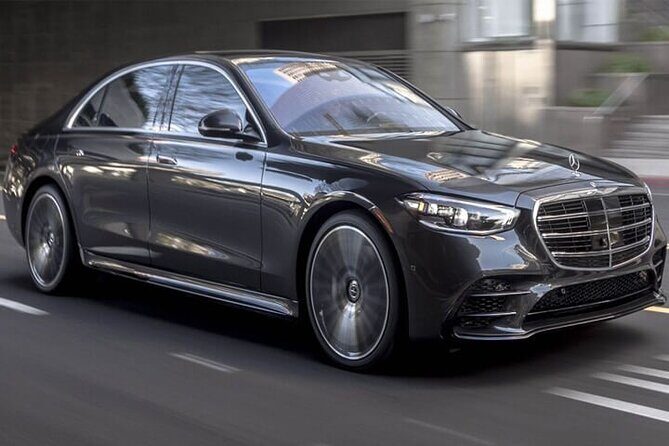 Arrival Private Transfer: Auckland Airport AKL to Auckland City - Transportation and Vehicle Quality