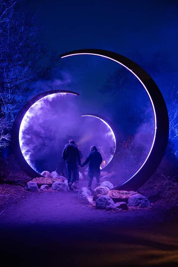 Astra Lumina Entry at Currumbin Wildlife Sanctuary - What to Expect from Your Night Walk