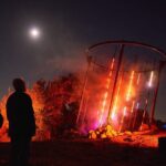 Astra Lumina Night Walk at Currumbin Wildlife Sanctuary - The Zones and Visual Highlights
