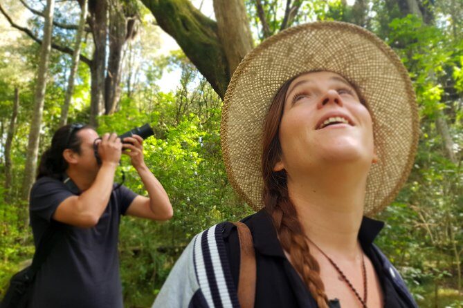 Auckland Bush, Beach and Bites Trail - Takapuna Beach and Coastal Trails