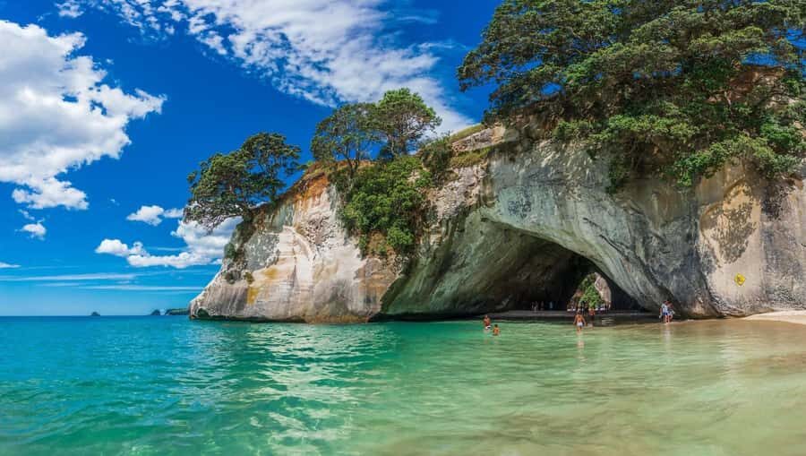 Auckland: Cathedral Cove and Hot Water Beach Day Trip - Transportation, Group Size, and Value