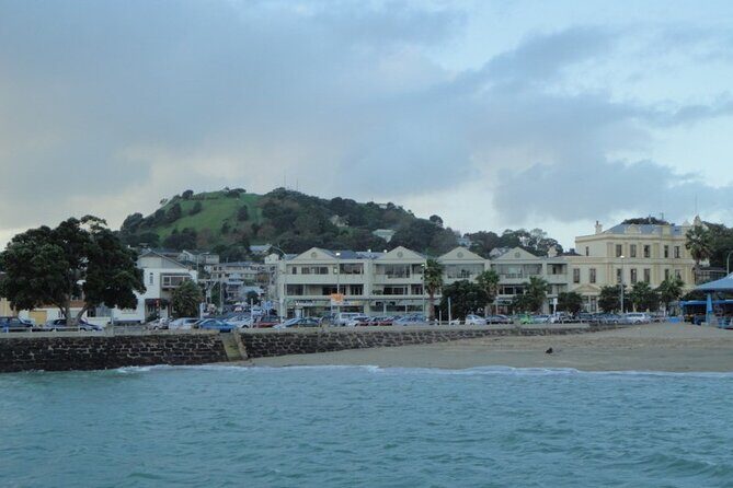 Auckland City Halfday Tour - Practical Details and Tips