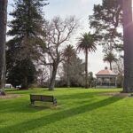 Auckland City Highlights Private Tour - Practicalities and What to Expect