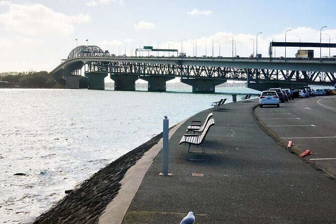 Auckland Halfday Private Guided Tour - Whats Included & What to Keep in Mind