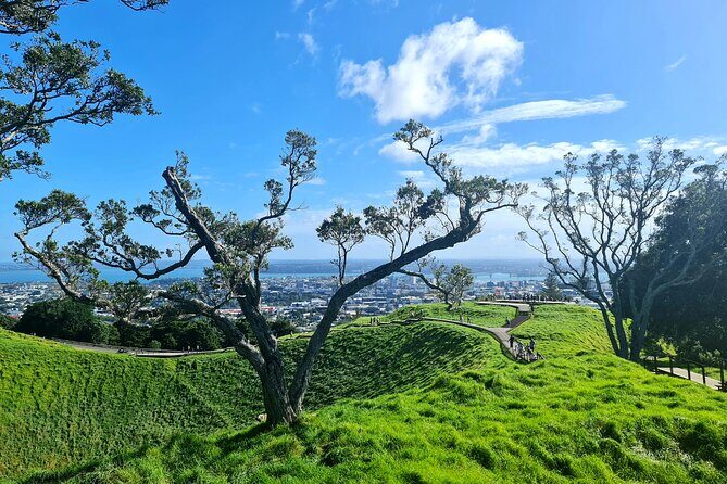 Auckland Hidden Gem Half Day Tour - What’s Included and What’s Not