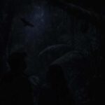 Auckland: Piha Native Bat Discovery Walking Tour - The Itinerary and Its Highlights