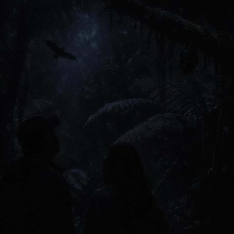 Auckland: Piha Native Bat Discovery Walking Tour - The Itinerary and Its Highlights