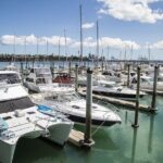 Auckland Private Full Day Attractions Tour & Museums - Exploring Nature and Off-the-Beaten-Path Spots