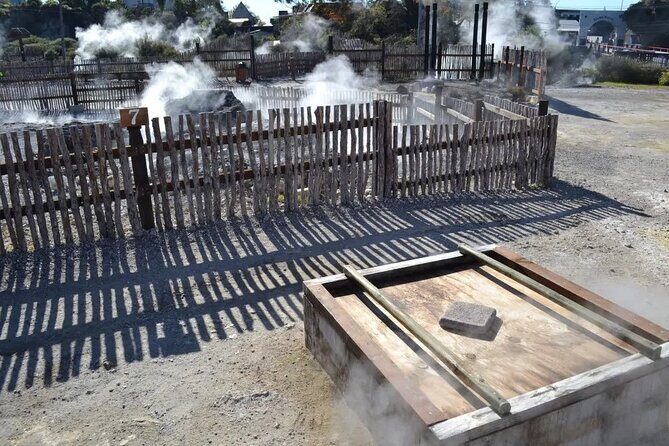 Auckland: Rotorua Te Puia & Maori Village Tour with Haka - The Value of the Experience