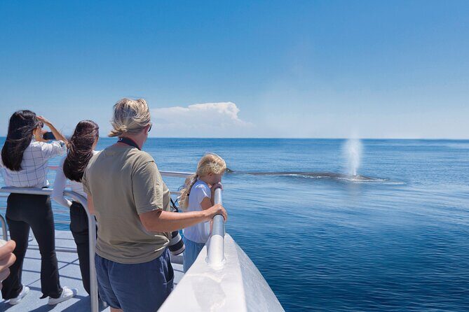 Auckland: Tikapa Moana Dolphin, Whale and Island Cruise - What Reviewers Say