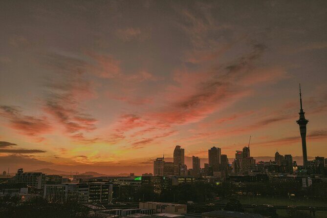 Auckland Urban Charm Half Day Tour - Authentic Traveler Insights