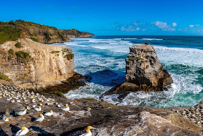 Auckland's Wild West Coast & Black Sand Beaches Tour inc Lunch - What’s Included and Practical Details