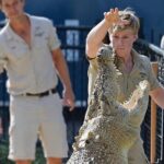 Australia Zoo Day Trip from Noosa /Sunshine Coast Region - Who Would Love This Tour?