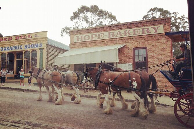 Ballarat Gold Fields - Sovereign Hill & Winery Tour - What to Expect at Each Stop
