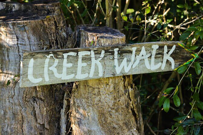 Bangalow Native Bush Food Tour - An In-Depth Look at the Bangalow Native Bush Food Tour