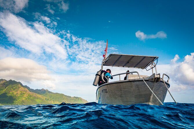 Baptism: introductory dive at Moorea Fun Dive - Who Is This Experience Best For?