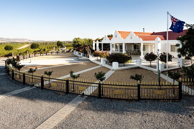 Barossa 4 Hours Wine Experience and Vineyard Walk with Lunch - An In-Depth Look at the Experience