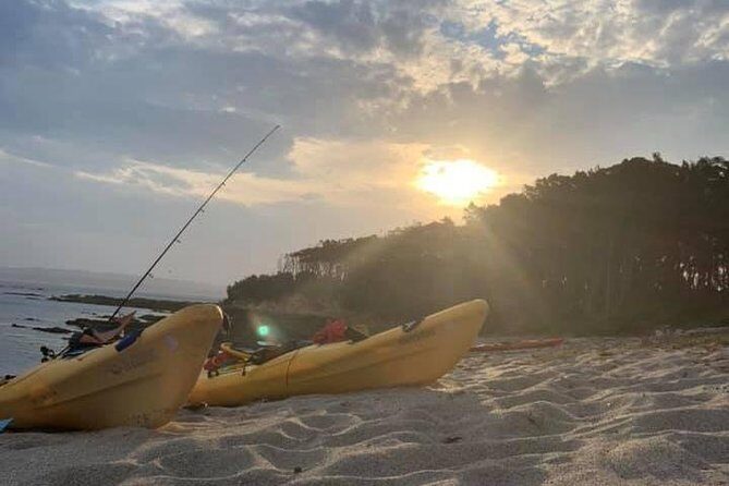 Batemans Bay Overnight Kayak Camping Tour from Canberra - All Inclusive - Day 2: Murramarang National Park & Catch-and-Cook Experience