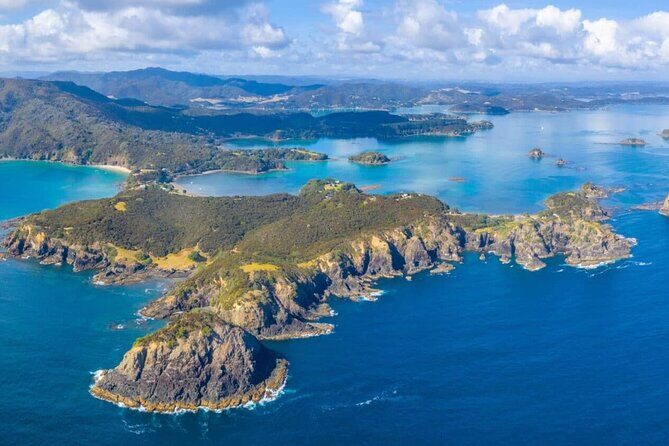 Bay of Island Day Tour with Hole in the rock cruise from Auckland - Practical Considerations and Value