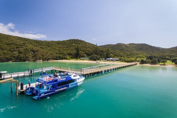Bay of Islands Discovery Experience from Auckland incl. Hole In The Rock Cruise - Detailed Breakdown of the Itinerary