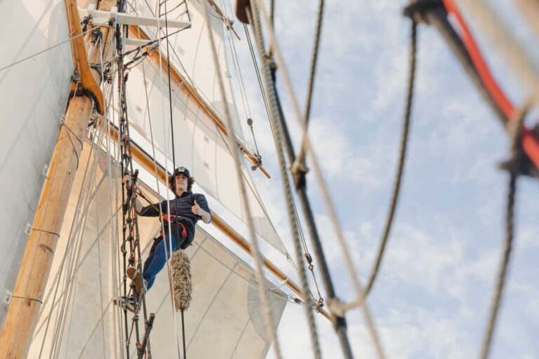 Bay of Islands: Full-Day Tall Ship Sailing Excursion - Who Will Love This Tour?
