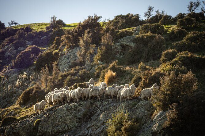 Bespoke Guided High Country Hiking - Analyzing Value and Practicality