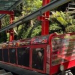 Best Blue Mountains Full Day Tour-Optional Sydney Zoo&Leura Town - The Practicalities and Value