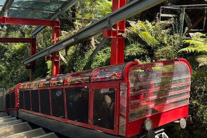 Best Blue Mountains Full Day Tour-Optional Sydney Zoo&Leura Town - The Practicalities and Value