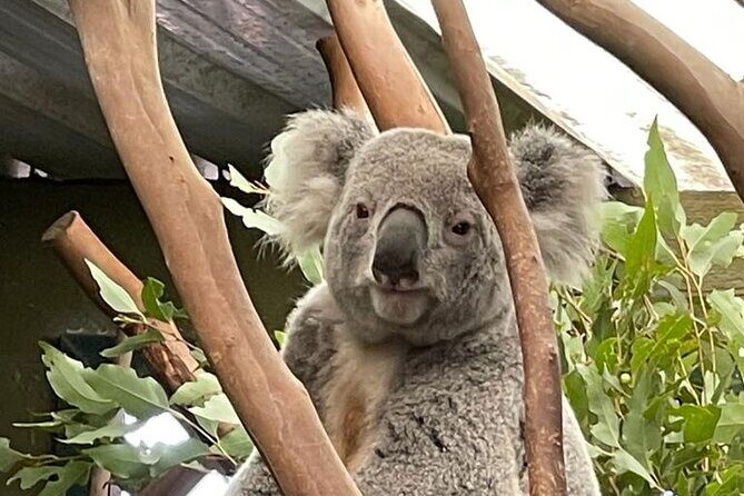 Best of Blue Mountains: Private Tour - The Sum Up