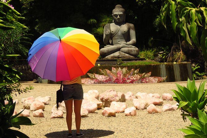 Beyond Byron Hinterland Tour - Authentic Feedback and Insights from Past Travelers