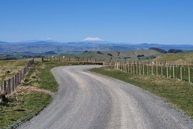 Bike Rental in Waitomo Caves - What to Expect on the Tour