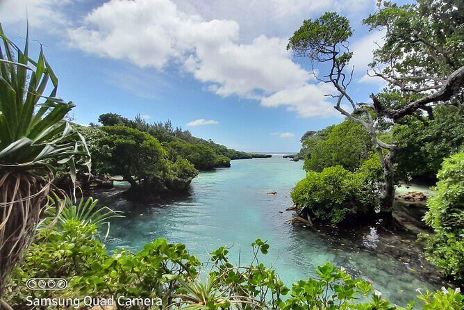Blue Lagoon Express Bus - Who Will Love This Tour?