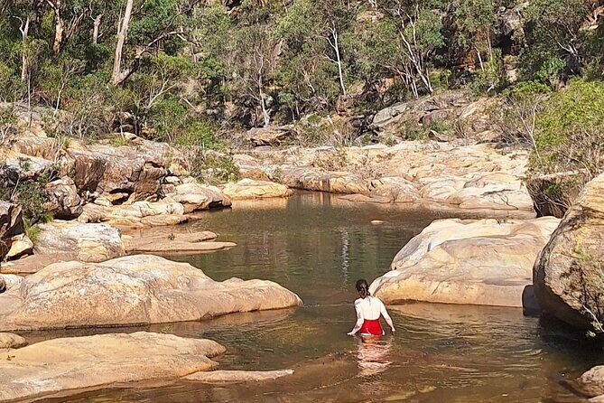 Blue Mountains 3 Hour Guided Eco Tour - close to Sydney - Practical Details and Tips