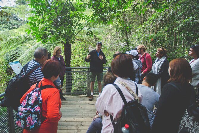 Blue Mountains Day Tour with Wildlife, Walks and Scenic World - Exploring the Itinerary in Detail