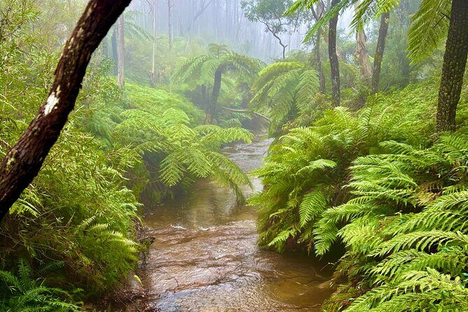 Blue Mountains Day Tours W Scenic World and Lunch - Exploring the Itinerary in Detail