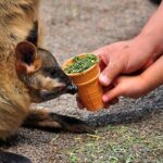 Blue Mountains Highlights, Wildlife Park and Scenic World Full Day Private Tour - Who Should Consider This Tour?