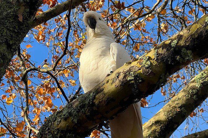 Blue Mountains Private Group Day Tour from Sydney - Why This Tour Offers Great Value