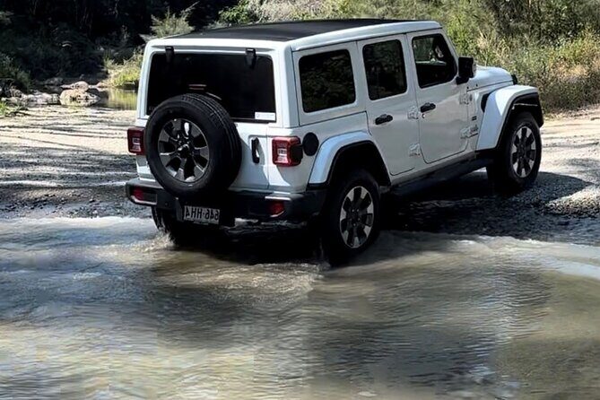 Booloumba Falls & Booloumba Creek Adventure, Conondale Nat. Park - Potential Drawbacks