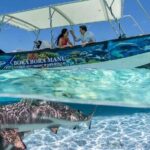 Bora Bora Half Day Snorkeling - What to Pack and Consider for Your Lagoon Snorkel Tour