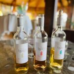 Bora Bora : Tahitian Wine/Rum Pairing - The Itinerary Breakdown