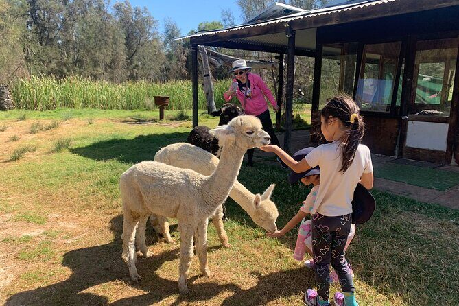 Boshack Farm - Animal, Wildlife, Stargazing Nature Aussie culture - What to Expect from the Itinerary