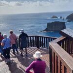 Breakfast Bushwalk & Clifftop BBQ Tour - Practical Tips for Enjoying the Tour