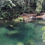 Bridges of Eden with Yumi Tours - Potential Drawbacks or Considerations