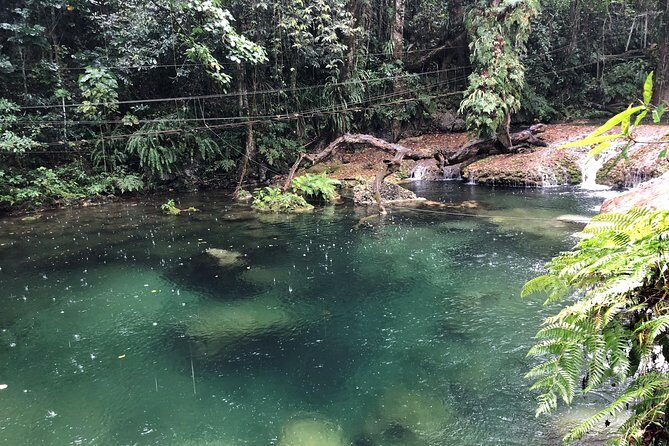 Bridges of Eden with Yumi Tours - Potential Drawbacks or Considerations