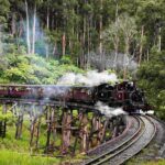 Brighton Bath Boxes & Puffing Billy & Penguin Parade 1-Day Tour - Authentic Experiences from Fellow Travelers
