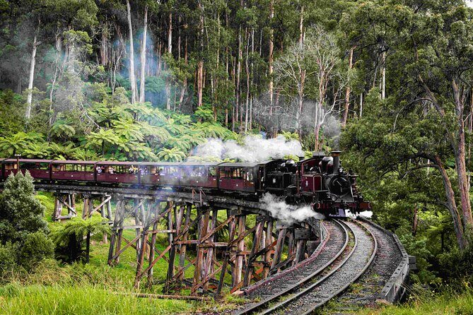 Brighton Bath Boxes & Puffing Billy & Penguin Parade 1-Day Tour - Authentic Experiences from Fellow Travelers