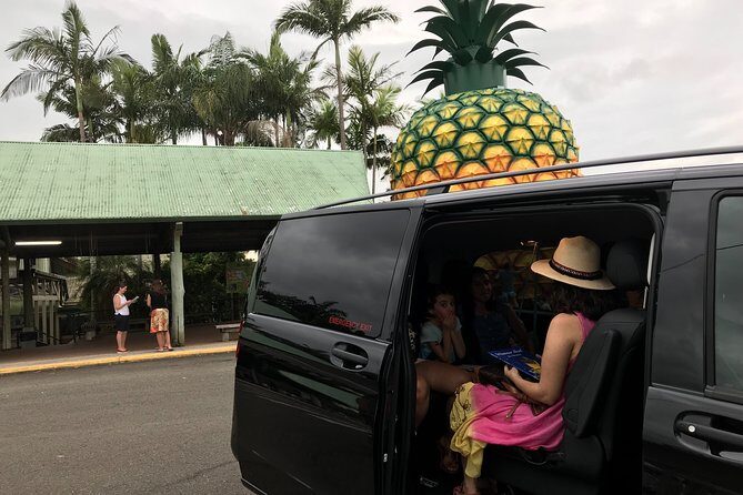 Brisbane Airport to Noosa Private Transfer for 1-5 people - Who Will Love This Transfer?