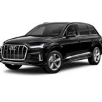 Brisbane Airport to Noosa Private Transfer for 2 - Who Should Consider This Transfer?