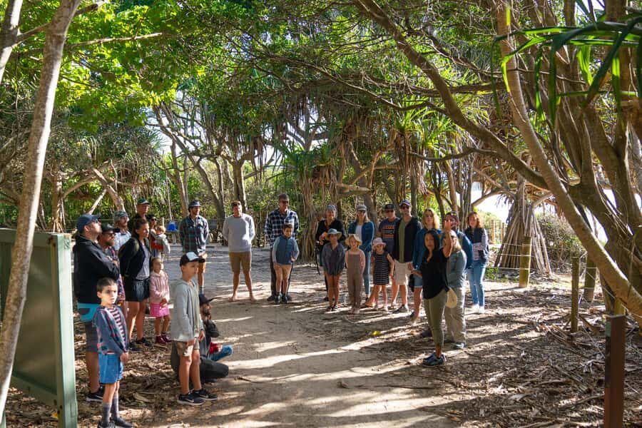 Broken Head Aboriginal Tour - Why This Tour Is Worth It