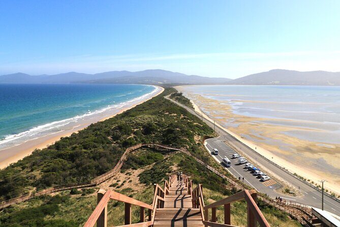 Bruny Island Small-Group Guided Tour From Hobart - The Iconic Views at The Neck